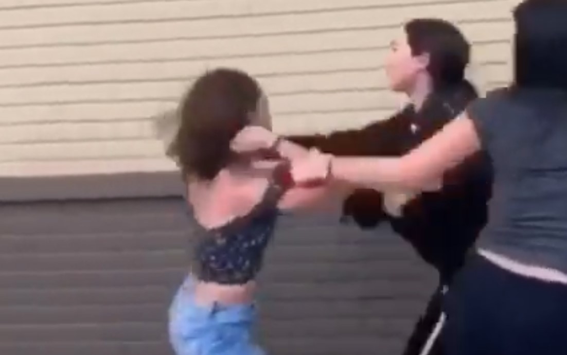 Girl Fight KnockOut - Brutal Knockout - WRESTLING DOMMES